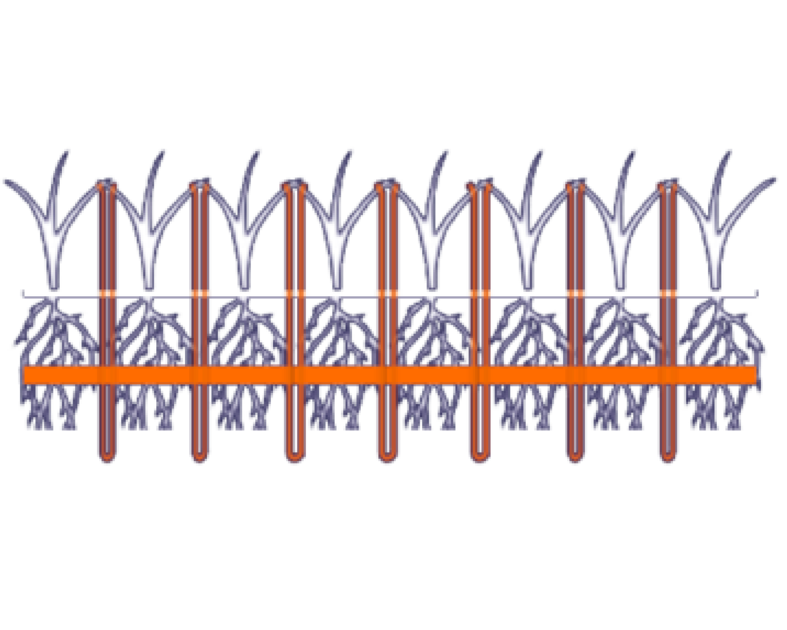 Stitching - Natural Grass