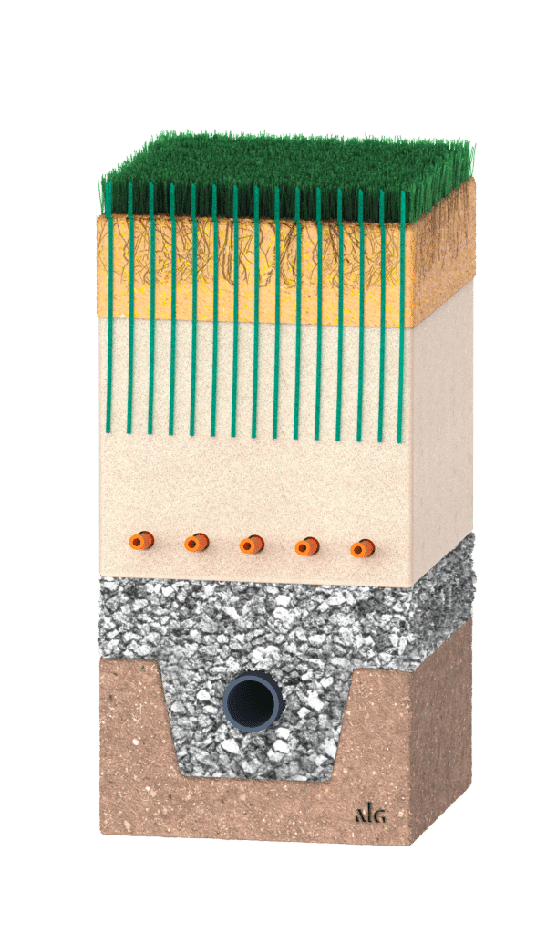 Stitching - Natural Grass